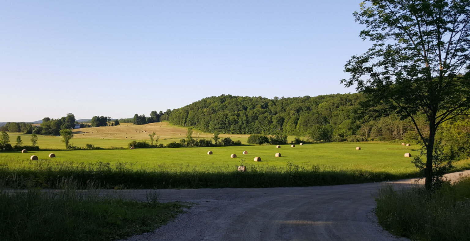 - bensonvermont.gov